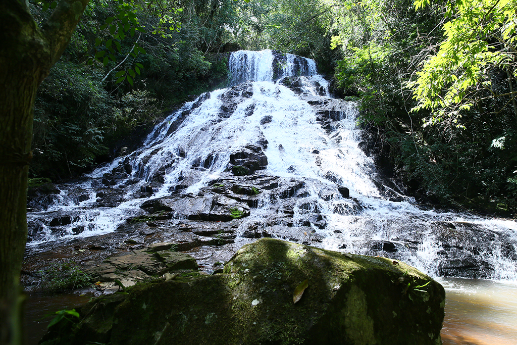 Prefeitura do município de Ibema